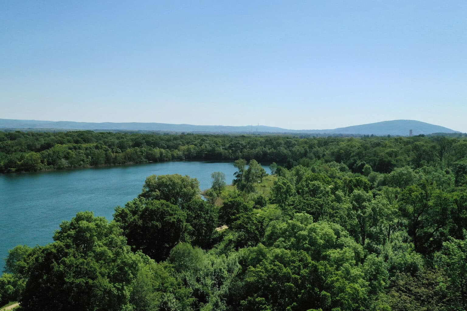 TAG – Energy Transition & Initiatives